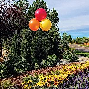 Balloon Bobber - Weatherproof Reusable Balloon Triple Cluster Pole Kit - Helium Free Plastic Outdoor Balloons