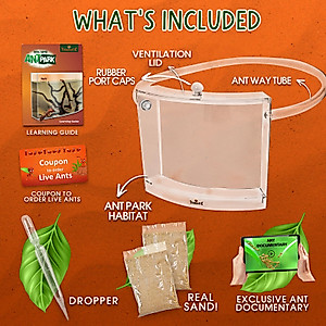 Tigerific Ant Farm for Live Ants - Real Sand Ant Colony Kit for Kids -Fun Science Habitat Set for Children, Watch Ants Dig Tunnels, Carry Sand, Hide and Drag Their Food