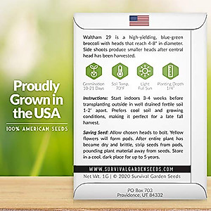 Waltham 29 Broccoli Seed for Planting - Packet with Instructions to Plant & Grow Cool Weather Broccoli in Your Home Vegetable Garden - Non-GMO Heirloom Variety - Survival Garden Seeds - 1 Pack