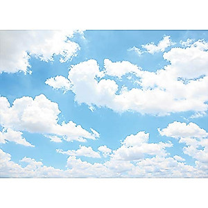 SVBright 7(W) x 5(H) ft Polyester Fabric Blue Sky White Clouds Backdrop Party Wall Decorations Sunshine 1ST Newborn Baby Shower Birthday Table Banner Photo Booth Photography Background Photo Studio