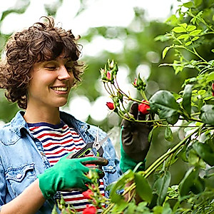 WORKPRO Pruning Shears,6.25'' Gardening Hand Scissors with Sheath,Stainless Steel Straight Blade Hand Pruner for Precision Pruning and Trimming