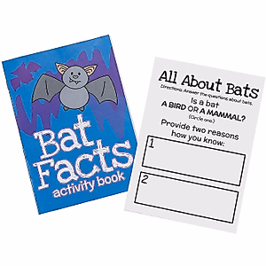 Stellaluna Gift Set Special Edition Hardcover by Janell Cannon, Stellaluna Stuffed Animal, Activity Booklet, Downloadable Crafts with Activity Kit and Create a Bat Artwork Gift Set