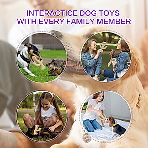 Medlladle Dog Chew Toys Cactus for Aggressive Chewers Small Breed, Indestructible Tough Dog Toys for Puppies Pet Toy with Durable Natural Rubber