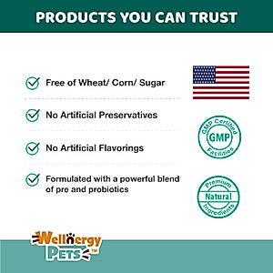Wellnergy Daily Probiotic & Prebiotics Soft Chew for Dogs & Cats - Digestive Support for Diarrhea, Constipation, Upset Stomach, Indigestion & Gas - Helps Digestion, Allergy Skin & Immune Health 70ct