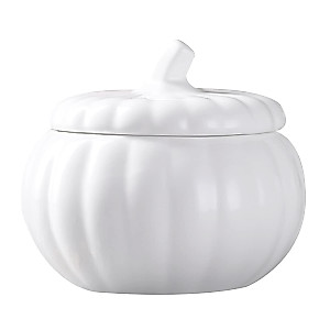 BESTonZON Ceramic Pumpkin Dish Pumpkin Soup Bowls Porcelain Dinnerware Pasta Dessert Bowl with Lid, Dishwasher & Oven Safety