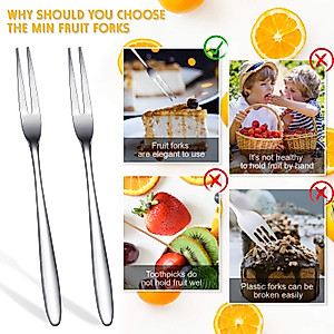 Appetizer Forks Cocktail Forks 2 Prong Mini Forks for Appetizers 5.1 Inches Stainless Steel Forks Set Dessert Salad Fruit Cake Tasting Forks Bulk for Birthday home Party Wedding Restaurant(48 Pcs)