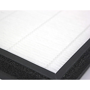 Fette Filter - Air Purifier True HEPA Filter F Compatible with Holmes HAP769. Compare to Part # HAPF700 (2 Pack)