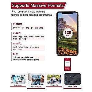 Sunany Flash Drive 128GB, USB Memory Stick External Storage Thumb Drive Compatible for Phone, Pad, Android, PC and More Devices (Red)
