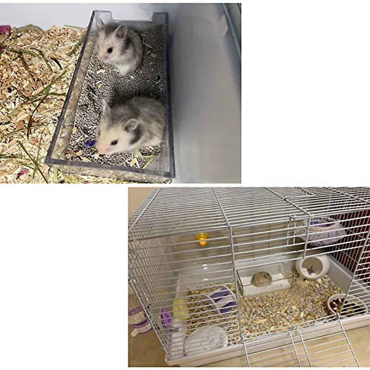 Hamster Sand Bath Box Transparent Acrylic Bathroom Small Animal Cleaning Supplies Dust Removal Bathtub Bathing Container for Hamster Gerbil Sugar Glider (2 Pcs)