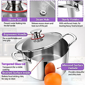 P&P CHEF Tri-Ply Stainless Steel Stockpot (5 QT), Large Stock pot with Visible Lid for Soup Pasta Vegetable, Induction Cooking Pot for All Stoves, Heavy-Duty Pot with Double Handle, Dishwasher Safe