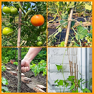 Tenn Well Natural Jute Twine, 500 Feet Long Brown Twine Rope for Crafts, Gift Wrapping, Packing, Gardening and Wedding Decor