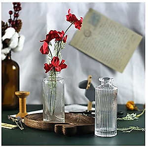 Clear Vintage Glass Bottles with Stopper Set of 3, Embossed Glass Bottles, Reed Diffuser Sets, Apothecary Flower Bud Vases, SC036