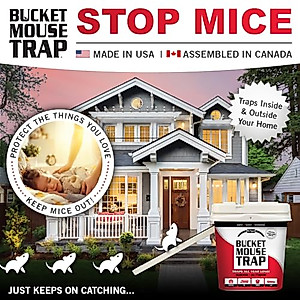 Little Bucket Mouse Trap - Complete kit Includes Bucket, ramp, and Roller