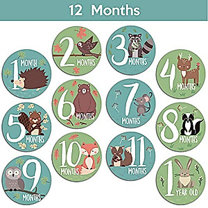 Baby Monthly Stickers | Woodland Creatures Baby Milestone Stickers | Newborn Boy or Girl Animal Stickers | Month Stickers for Baby Boy | Gender Neutral | Unisex Monthly Milestone Stickers (Set of 24)