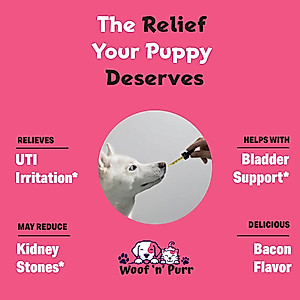Bladder Control for Dogs | Dog Bladder Supplement - Supports Healthy Kidney & Urinary Tract - Dog UTI Treatment - Dog Bladder Control - Bladder Support for Dogs - Dog UTI Supplement - 1oz
