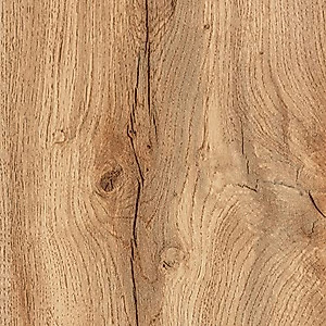 Baxton Studio Coolidge Shoe Cabinet, Oak Brown/Dark Brown