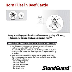 Neogen 1907840 Prozap StandGuard Pour 900 mL Insecticide, Yellowish/Brown