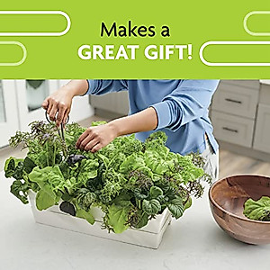 Miracle-Gro Garden to Go Mesclun Greens Mix - All-in-One Garden Kit