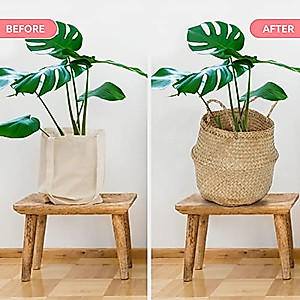 Compactor Natural ?Belly? Basket (Small)