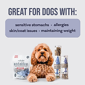 Polkadog Cod Skins Dog Treat - Lean Protein, Made in USA, Single-Ingredient, Grain & Gluten Free, for All Breeds - Crunchy Fish Skin Treat for Teeth Health, 12oz Shorties