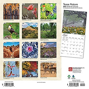 Texas Nature | 2023 12 x 24 Inch Monthly Square Wall Calendar | Foil Stamped Cover | BrownTrout | USA United States of America Southwest State Wilderness