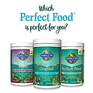 Garden of Life Whole Perfect Green Superfood Vegetable Dietary Powder Supplement, 600 g