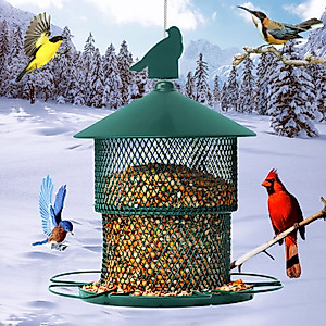 Bird Feeder for Outside Hanging,Squirrel Proof Metal Bird Feeder for Outdoor Wild Birds, 7.4 lb Seed Large Capacity Retractable Hanging Bird Feeders for Cardinal, Finch, Sparrow, Chickadee etc(Green)
