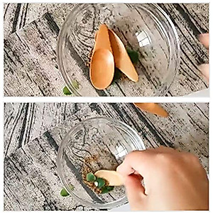 5 Pieces Mini Wooden Spoons, Small Salt Spoon with Short Handle Mini Wood Scoop for Spice Jars Tea Coffee Milk Powder, Natural Color