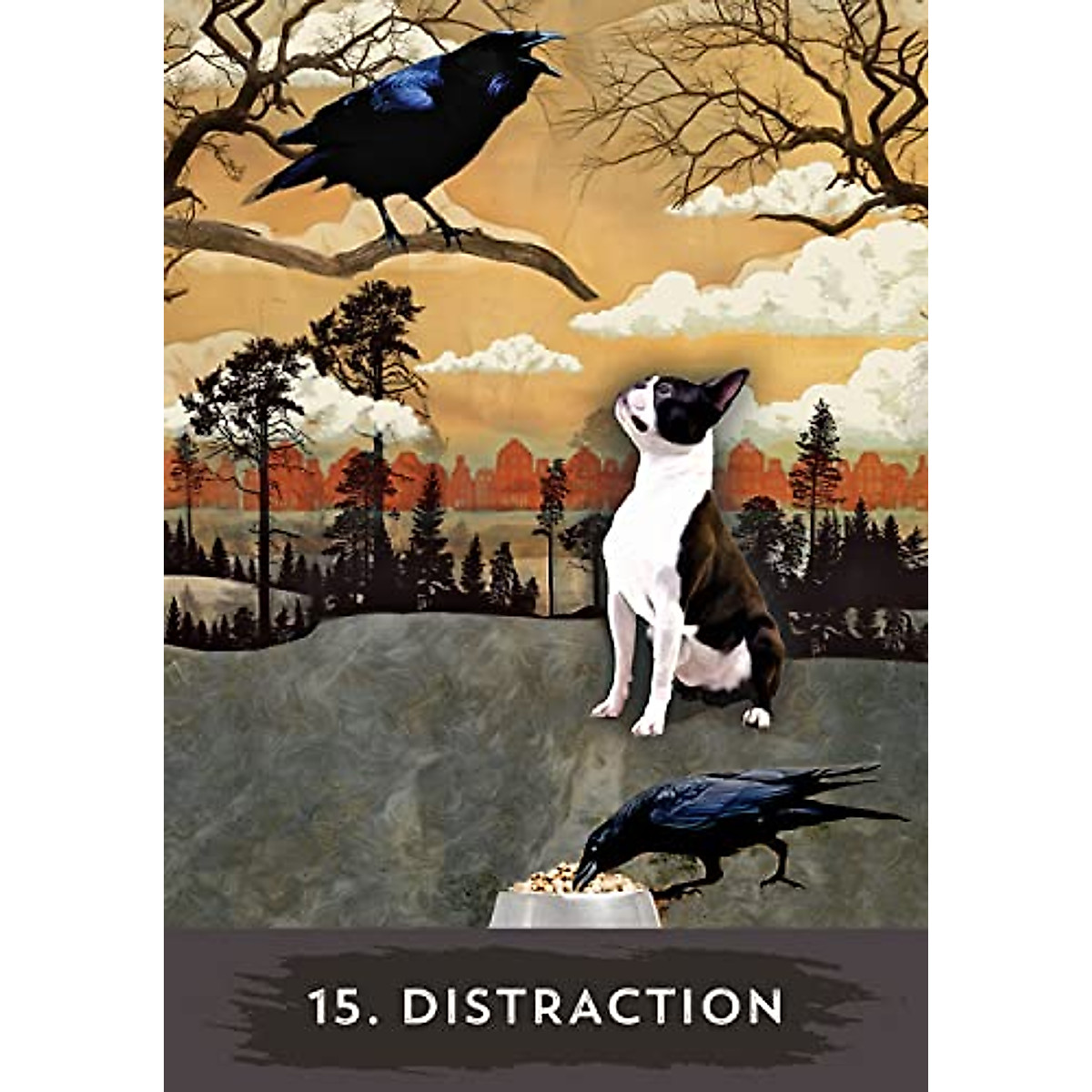 Urban Crow Oracle: A 54-Card Deck and Guidebook