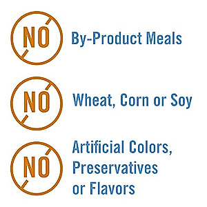 Chicken Soup for The Soul Pet Food-Puppy, Chicken, Turkey & Brown Rice Recipe, 13.5 lb.Bag Soy Free,Corn Free,Wheat Free, Dry Dog Food Made with Real Ingredients No Artificial Flavors or Preservatives