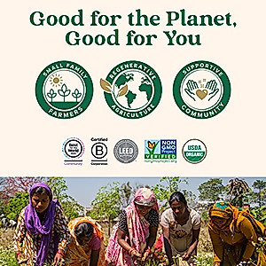 Organic India Top Eight Tulsi Herbal Teas - Holy Basil, Ashwagandha, Green, Original, Sleep, Sweet Rose, Turmeric Ginger, Lemon Ginger, Raspberry Peach - Vegan, Organic - 6 Bags Each (48 Total)