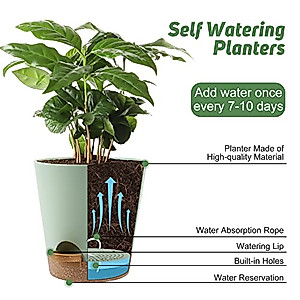 YNNICO Indoor Self Watering Planters with Drainage Holes and Saucers, 8, 7, 6.5, 6, 5.5, 5 Inches, Green, 6 Pots