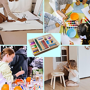 DRWUIS 2 Pack Desk Drawer Organizer Tray Desktop Drawer Organizers Junk Stationery Slides for Studio School Home Office