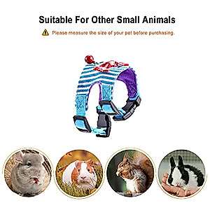 Filhome Small Pet Harness Vest and Leash Set with Bowknot and Bell Decor Chest Strap Harness Adjustable Soft Breathable for Outdoor Walking Guinea Pigs, Ferret, Chinchilla(Blue)