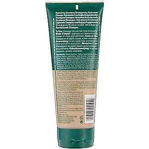 Aveda Sap Moss Weightless Hydration Shampoo 6.7 Ounce
