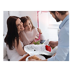 DolliBu I Love You Valentine Plush Big Eye Great White Shark - Cute Stuffed Animal with Red Heart and Name Personalization Gift for Valentines Day, Birthday, Anniversary, Romantic Date - 23 Inches