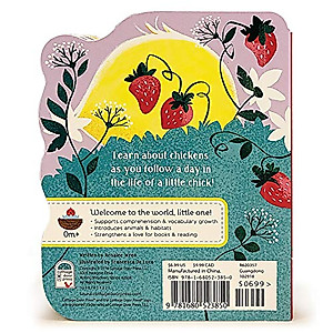 A Little Chick - Children's Animal Shaped Board Book