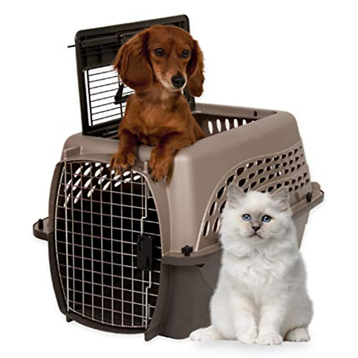Petmate Two-Door Small Dog Kennel & Cat Kennel (Top Loading or Front Loading Pet Carrier, Great for Small Animals, Made with Recycled Materials, 24 inches in Length) For Pets up to 15 Pounds