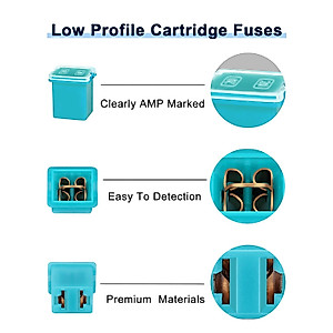 Riseuvo 40 Pcs Car Cartridge Fuses - Automotive Jcase Fuses Assortment Kit Low Profile and Tall/Standard Box Shaped Fuses 20A 30A 40A 50A 60A for RV, SUV, Cars, Boats