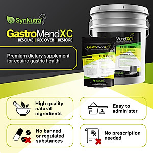 GastroMend XC, 100% Natural Equine Stomach Health for Horses, Promotes Healing & Prevention of Gastric Ulcers, Highly Potent & Effective, Supports Gastric and Hindgut Health, 30 Servings, Made in USA