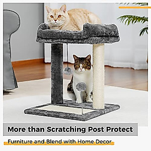 PAWZ Road Cat Scratching Post Bed, Featuring with Soft Perch Sisal-Covered Scratch Posts and Pads with Play Ball Great for Kittens and Cats