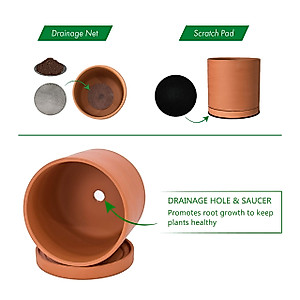 D'vine Dev Medium 8 Inch Terracotta Plant Pot with Drainage Hole and Saucer, Round Cylinder Planter Pot for Indoor Plants, 40-X-A-4