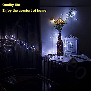 Window Curtain String Light Christmas Decorations String Lights Remote Battery LED Wedding Party Home Garden Bedroom Outdoor Indoor Yard Wall Decorations Twinkle Lights (White, 5M+50LED+8Model)