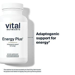 Vital Nutrients - Energy Plus - Non-Stimulatory Herbal Energy Support - 120 Vegetarian Capsules per Bottle