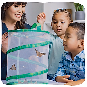 Insect Lore - Butterfly Growing Kit - With Voucher to Redeem Caterpillars Later