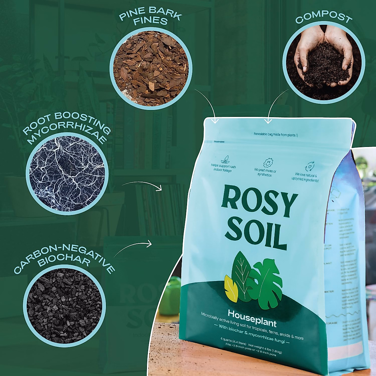 Rosy Soil Indoor Potting Soil for House Plants - Organic Potting Soil Mix for Indoor Plants -Enriched w/Root-Boosting Biochar for Foliage Plants, Flowers, Herbs - Peat Free House Plant Soil - 4qt