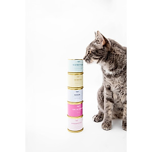 Companion Candles Pet Safe Wood Wick Candle - “Nostalgia” Spicy Amber & Sweet Florals, Coconut Soy Wax Scented, Over 50 Hr Burn Time, Non-Toxic, Women-Owned, Made in USA (3 oz.)