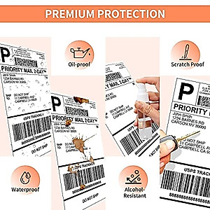 Phomemo Thermal Label Printer, with Label Holder and Pack of 500 4x6 Fan-fold Labels, Pink Direct USB Thermal 4×6 Shipping Label Printer Maker, PM-246s Series