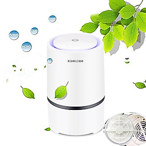 RIGOGLIOSO Portable Air Purifier,Air lonizer,USB Air Cleaner, True Hepa Homes Air Purifier Replacement Filter, Models GL2103/SY900S Filter