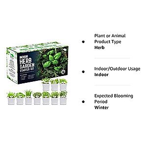 REALPETALED Indoor Herb Garden 10 Non-GMO Herbs– Complete Kitchen Herb Garden with 10 Reusable Pots, Drip Trays, Soil Discs and Seed Packets